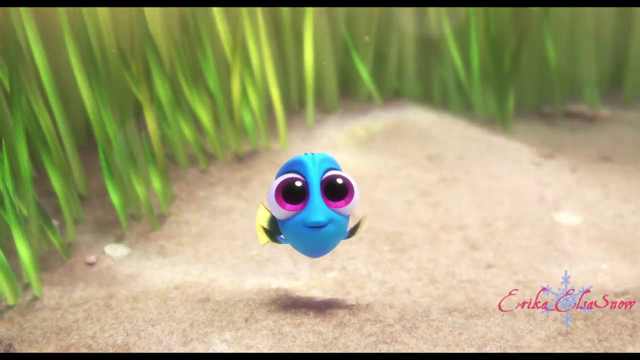 [Clip - Ita] Baby Dory {Alla ricerca di Dory} - YouTube