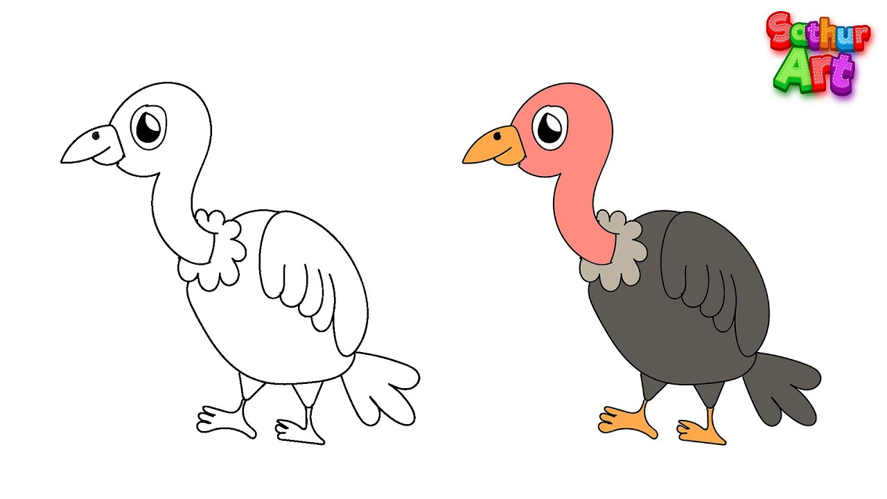 How to draw Vulture | Simple steps to draw a Vulture for kids ...
