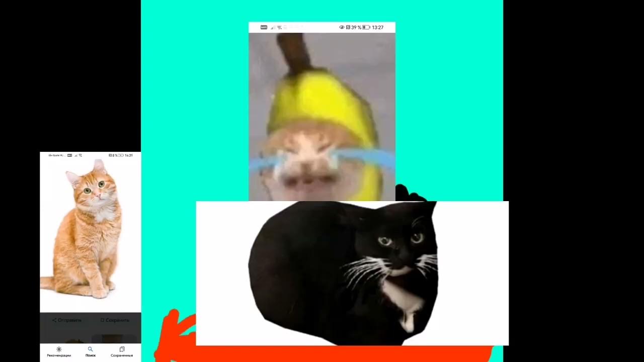 Кот банан - YouTube