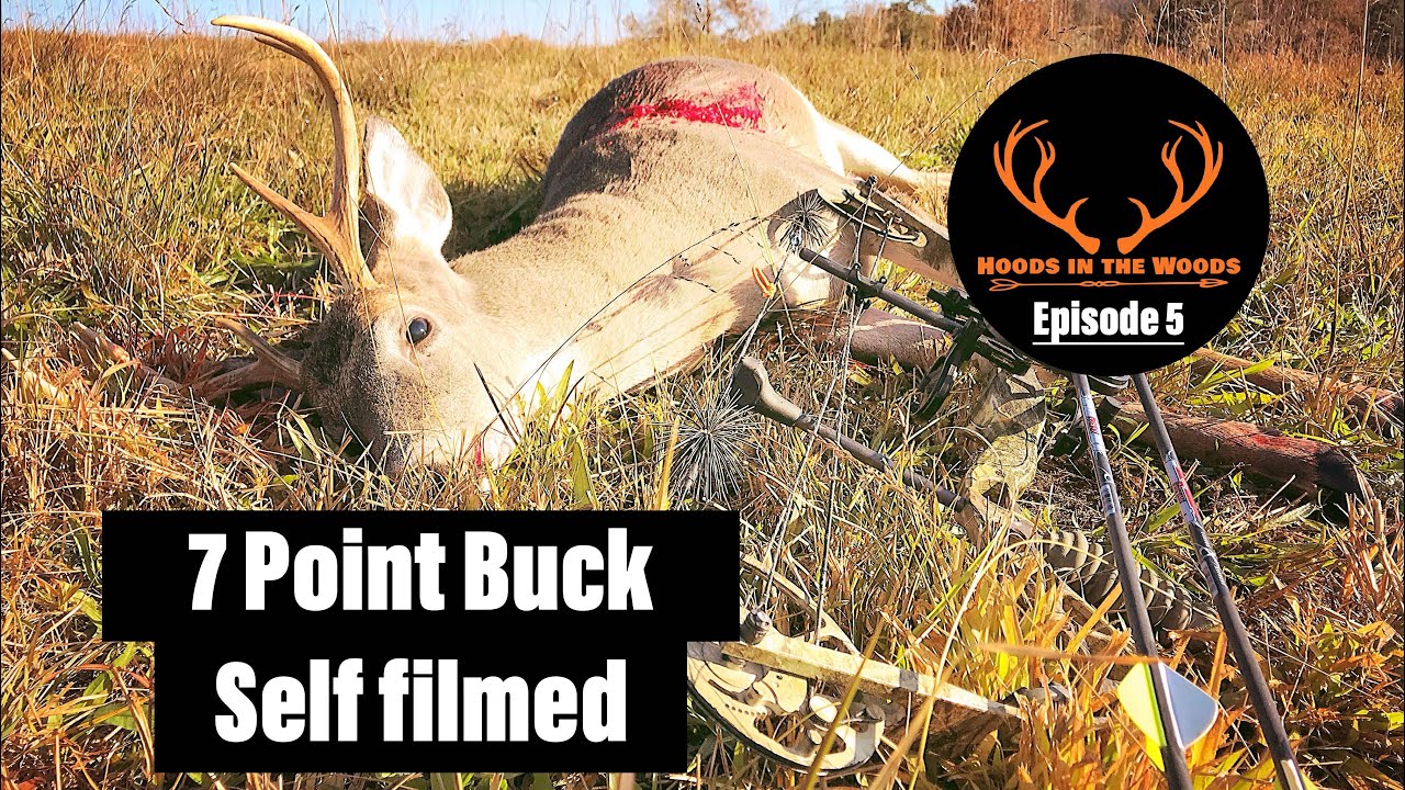 7 Point Buck - YouTube