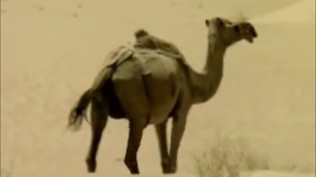 It's Science Time! part 052 - YouTube