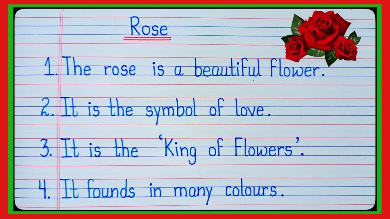 Rose essay 10 lines|rose essay in English|essay on rose in English|my ...