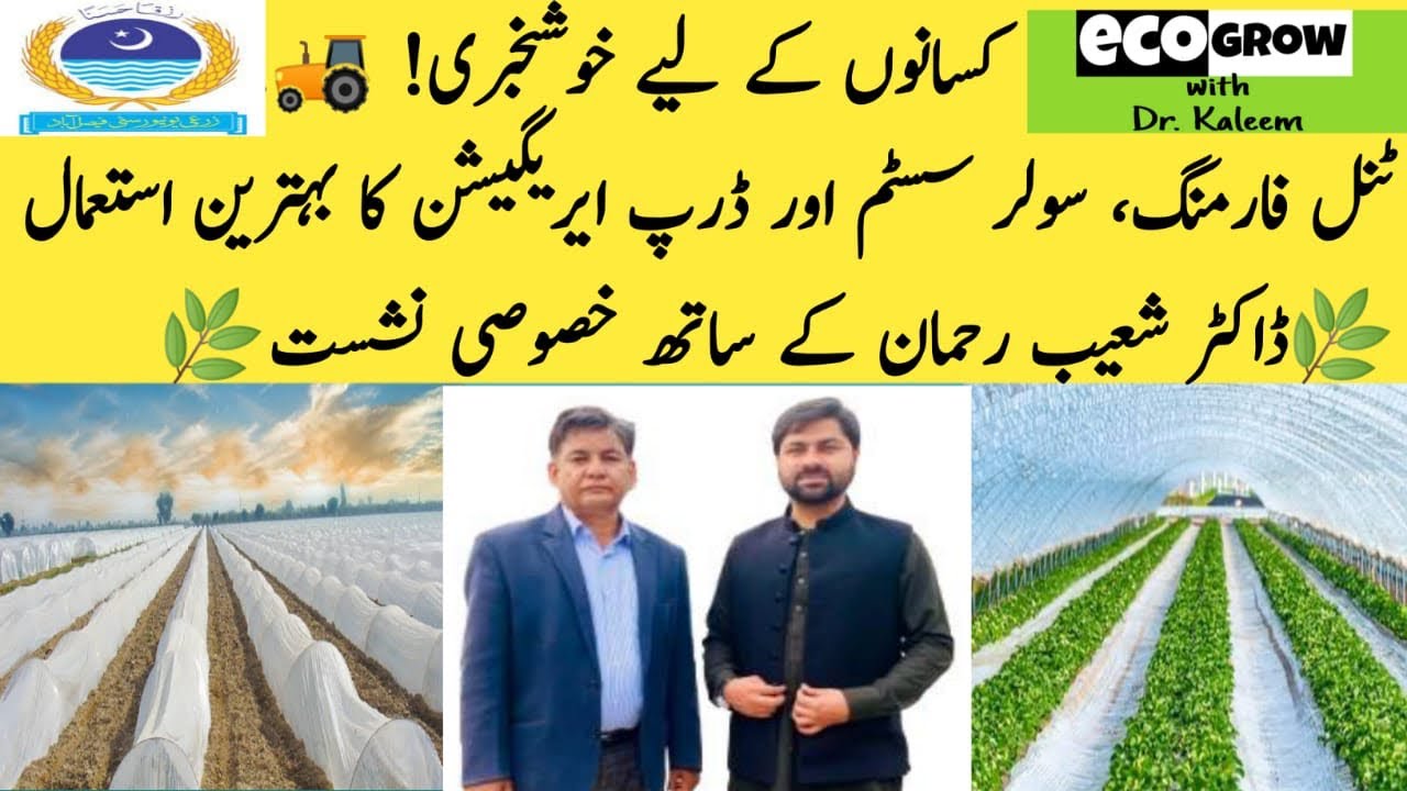 Tunnel Farming | Drip Irrigation | Solar irrigation | High|Low Tunnel ...