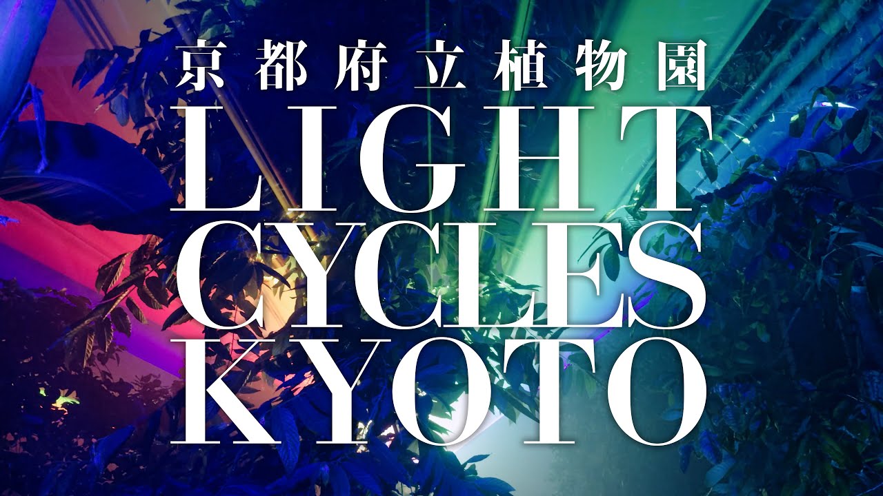LIGHT CYCLES KYOTO ver.2 - YouTube