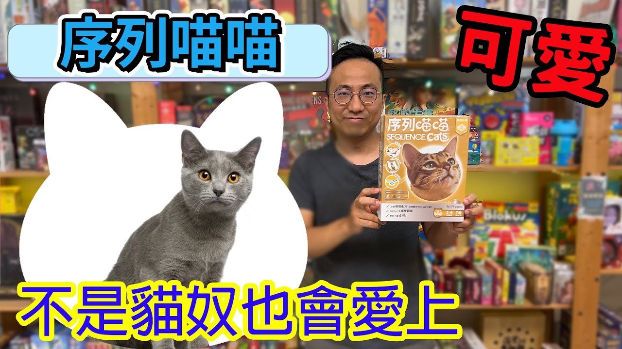 貓咪種類也太多了吧!!☆序列喵喵Sequence Cats-桌遊教學試玩#484 - YouTube