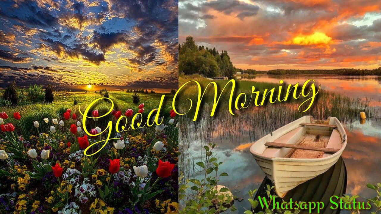 Good Morning Beautiful Status | Whatsapp Status Video - YouTube