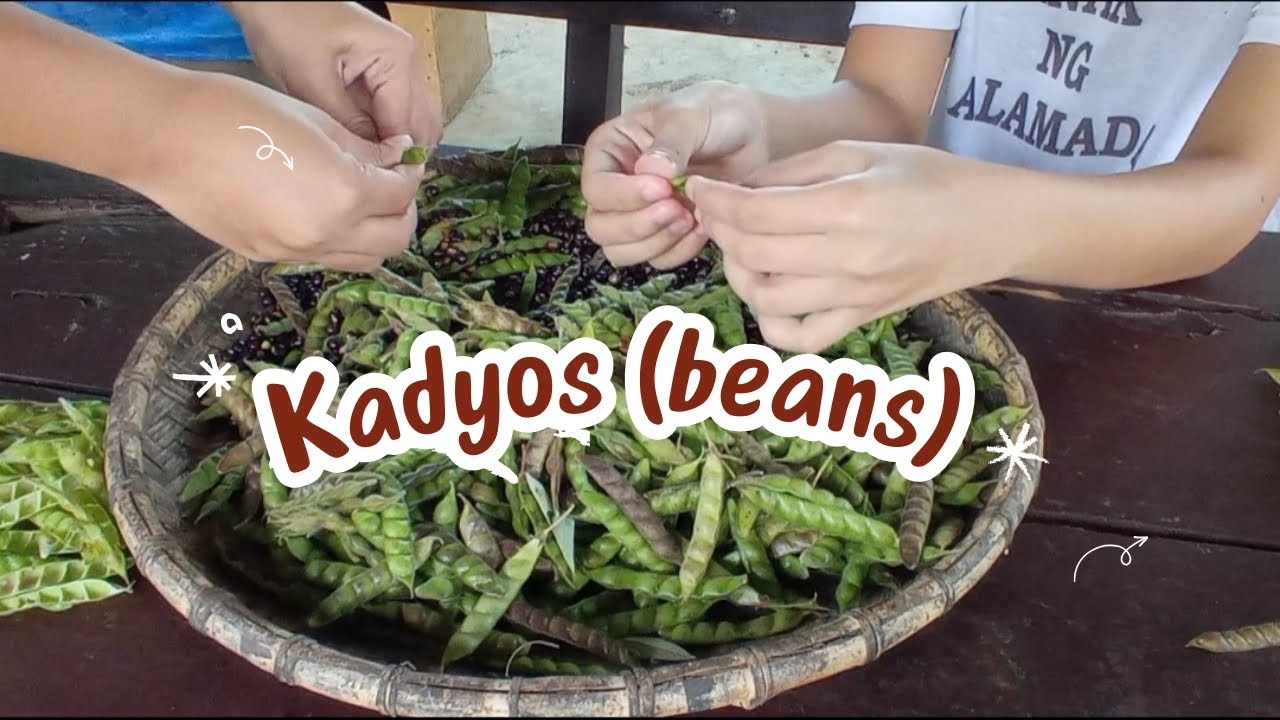 Kadyos with Pork | Healthy Food | hannashi vlog - YouTube
