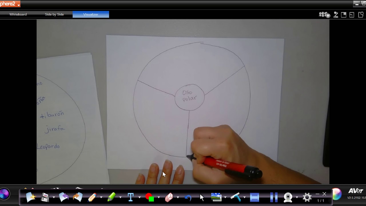 Mapa de círculo: 3 Hechos - YouTube