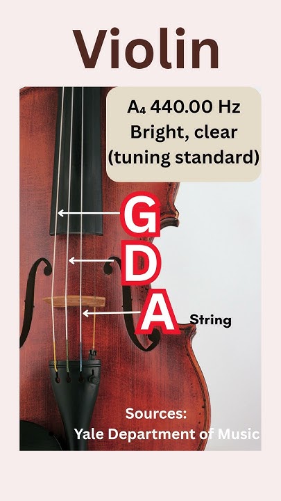 Violin Strings Explained Visually – G, D, A, E - YouTube