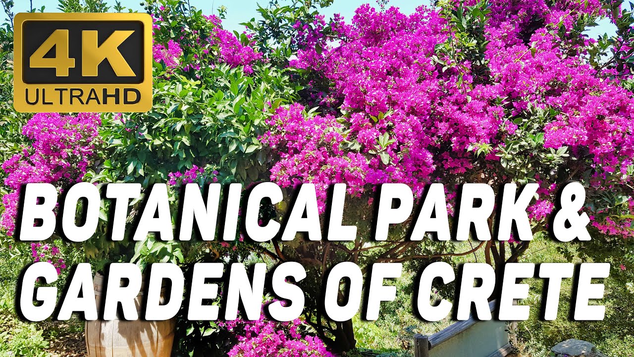Botanical Park & Gardens Of Crete 4K Greece - YouTube