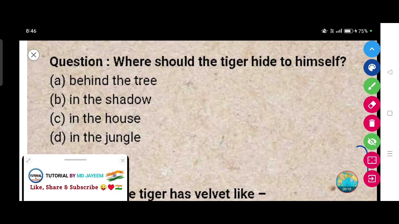 Where should the tiger hide to himself? - YouTube