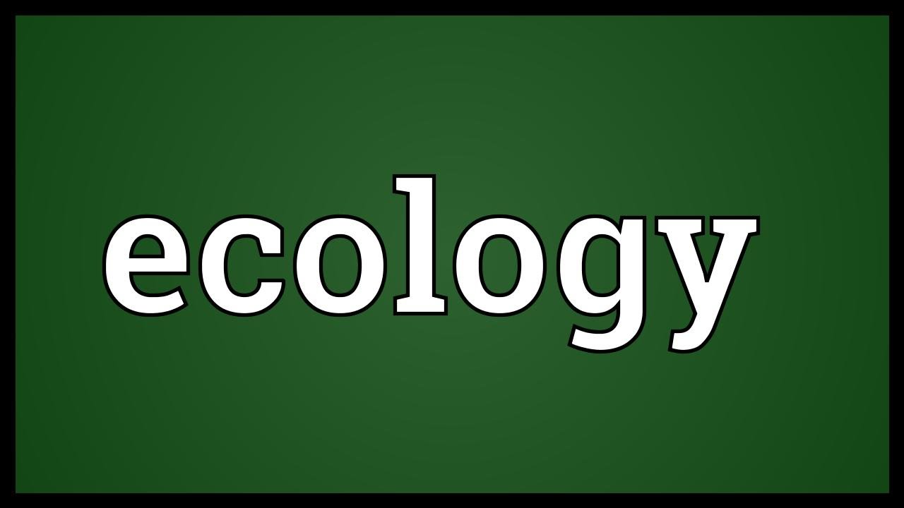 Ecology Meaning YouTube ecology-meaning-youtube