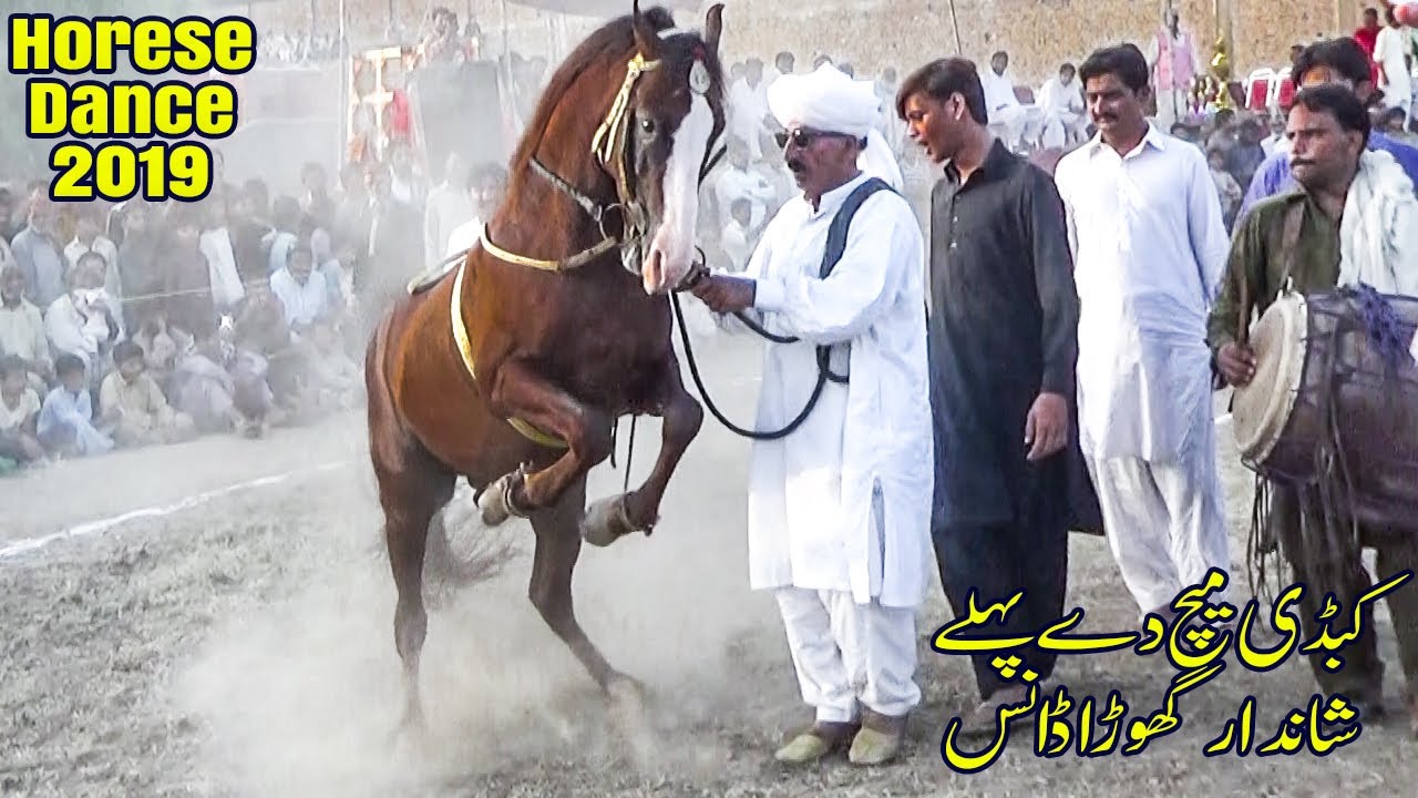 Amaizing Best Horse Dance 2019 Sargodha Punjab Pakistan - YouTube