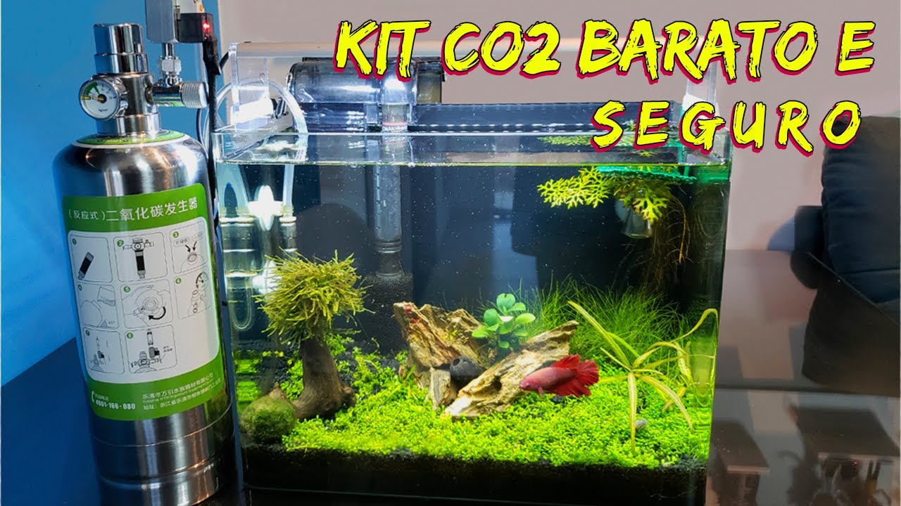 Review Kit Cilindro CO2 para Aquário Nano COMPLETO e BARATO. - YouTube