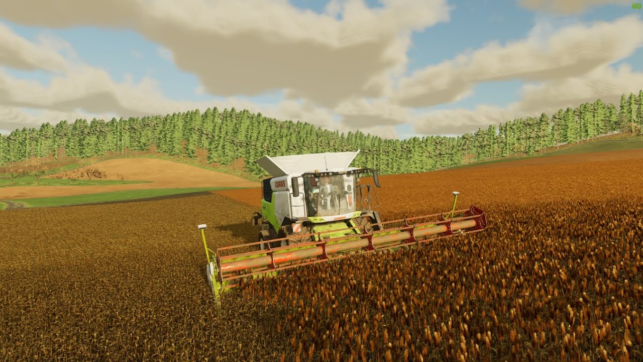 SORGUMS HARVESTING WITH CLAAS TRION AND SELL GRASS ROLL BALES SOMEWHERE ...