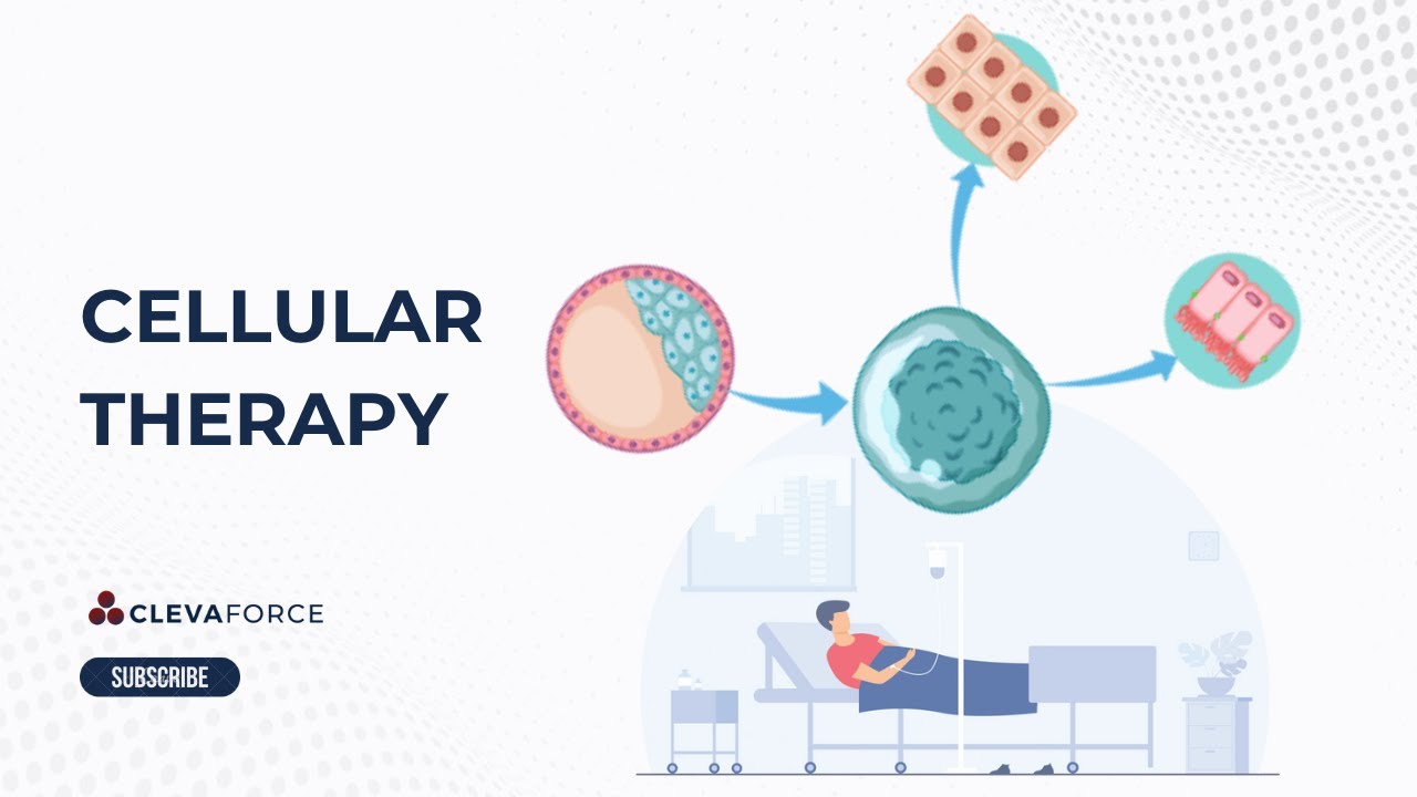 Cellular Therapy - YouTube