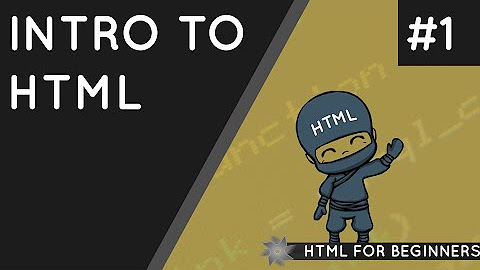 HTML Tutorials For Beginners - YouTube