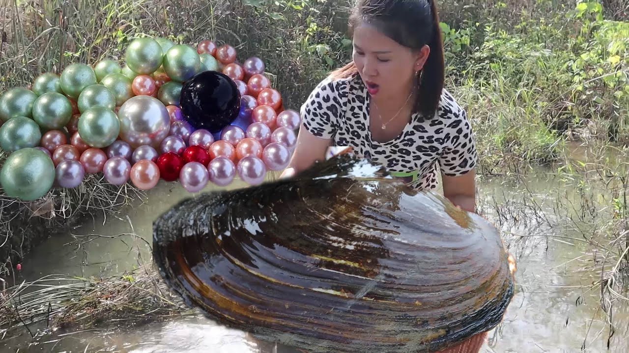 The 10-year-old giant river clam was indeed a surprise, and a huge ...