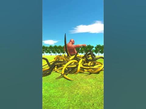 Python attack - YouTube