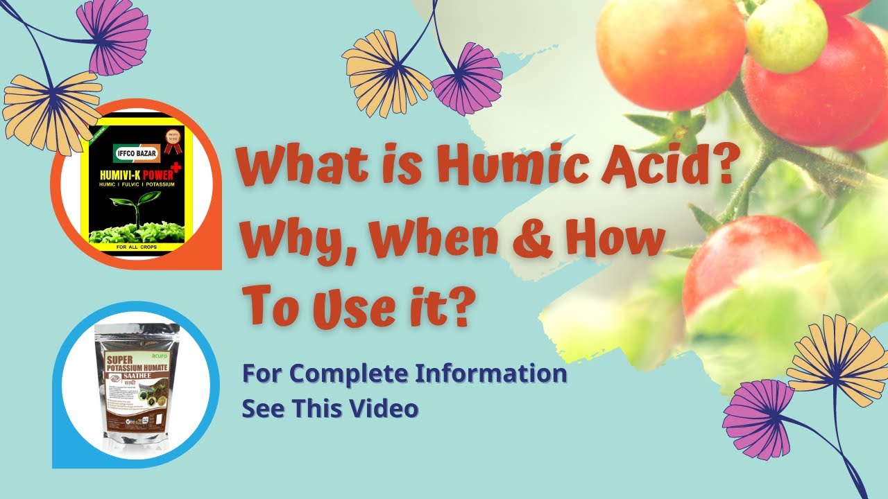 What is Humic Acid? When, Why, How to Use it? Which Brand to Buy? - YouTube