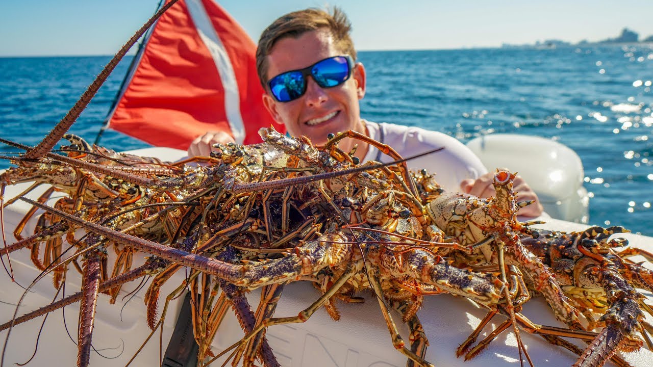 Saltwater Bugs! Catch n Cook (HOMEMADE Lobster Paella) - YouTube