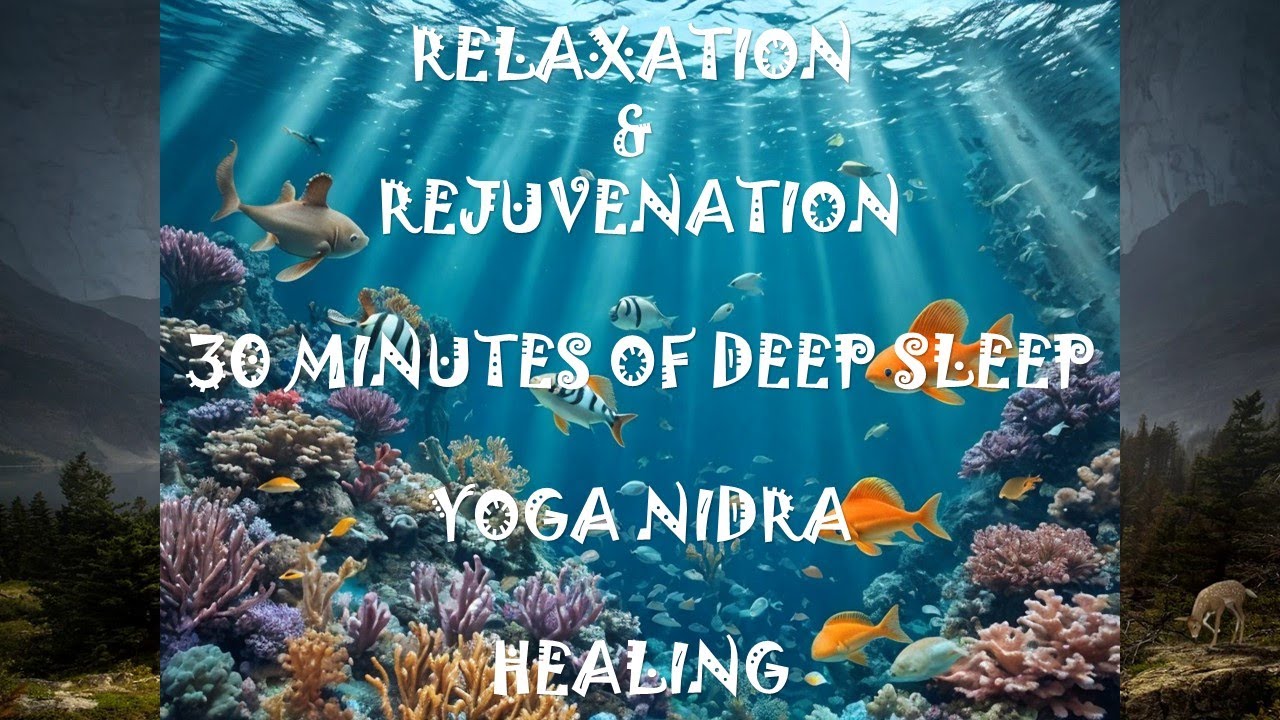 30 Minutes of Underwater Serenity: Ocean Meditation & Deep Blue Calm ...