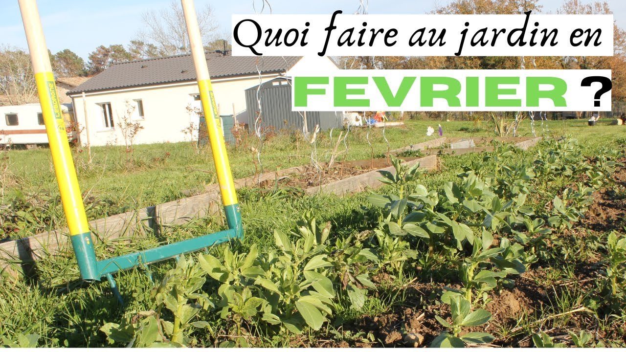 Que faire en février au potager ? (et chez les animaux) - YouTube