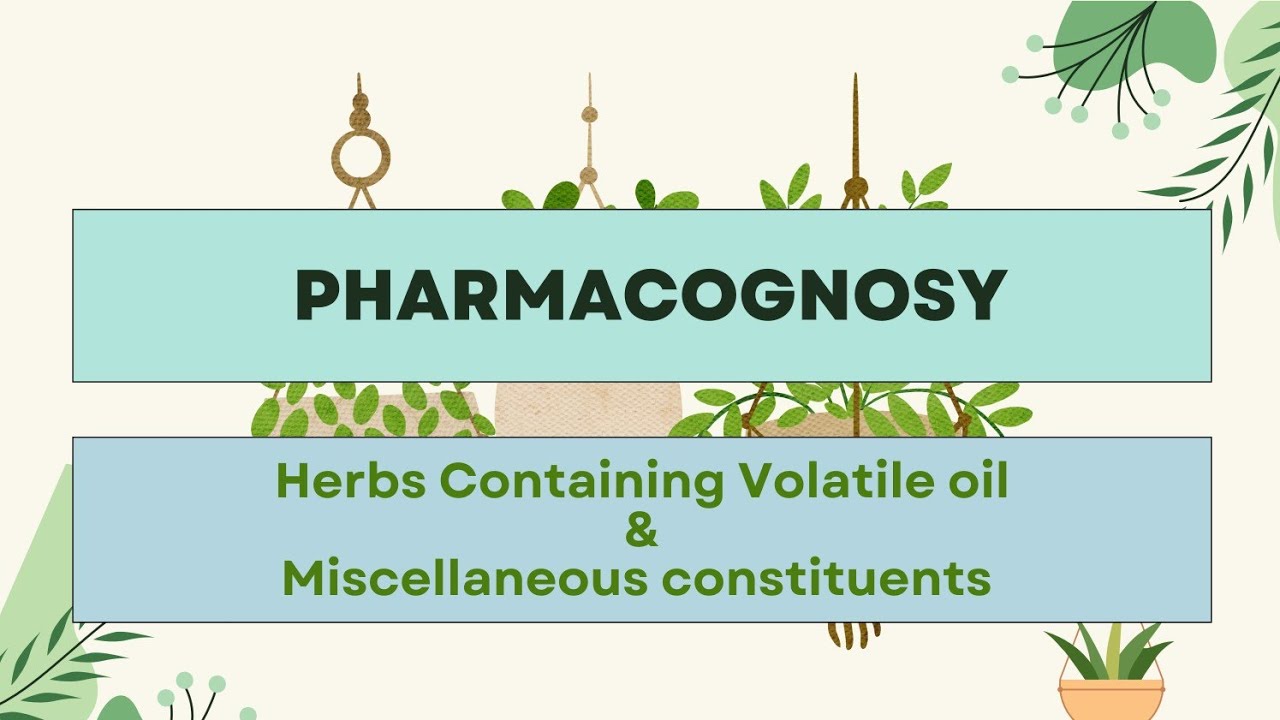 Pharmacognosy 2 | Herbs Containing Volatile oil & Miscellaneous ...