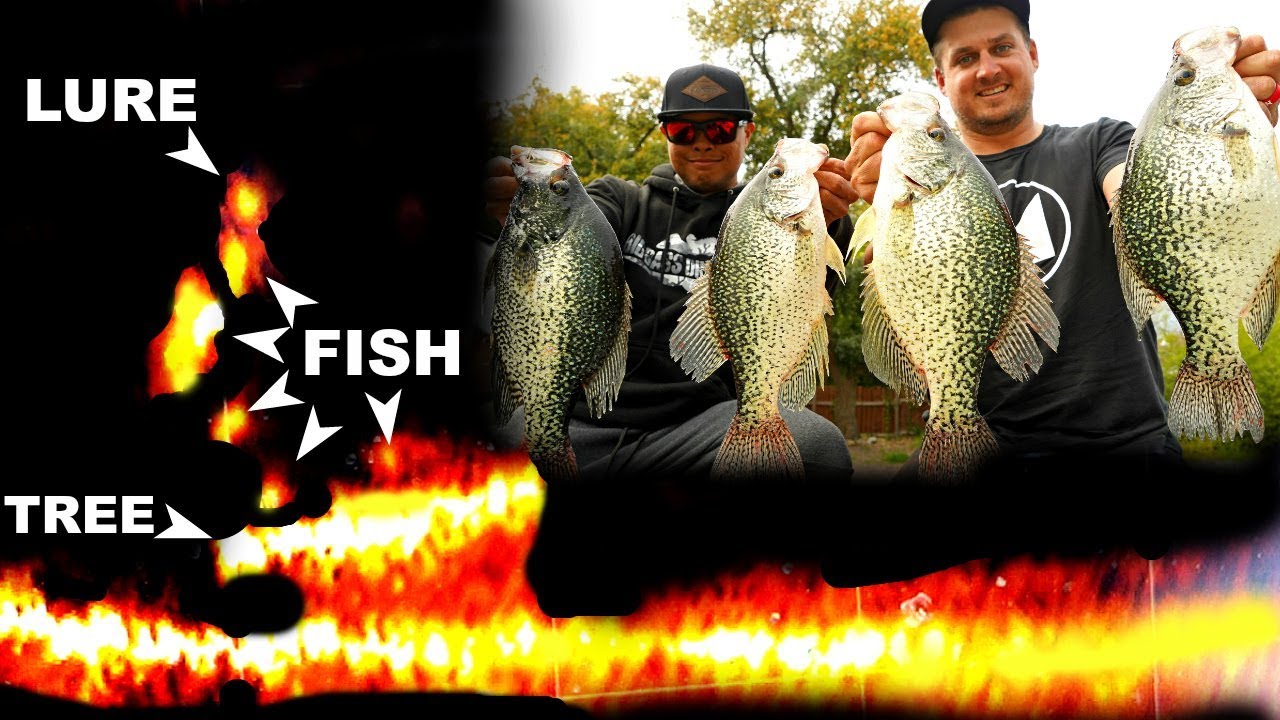 INSANE Video Game Fishing TROPHY Crappie!! --Garmin Panoptix LiveScope ...