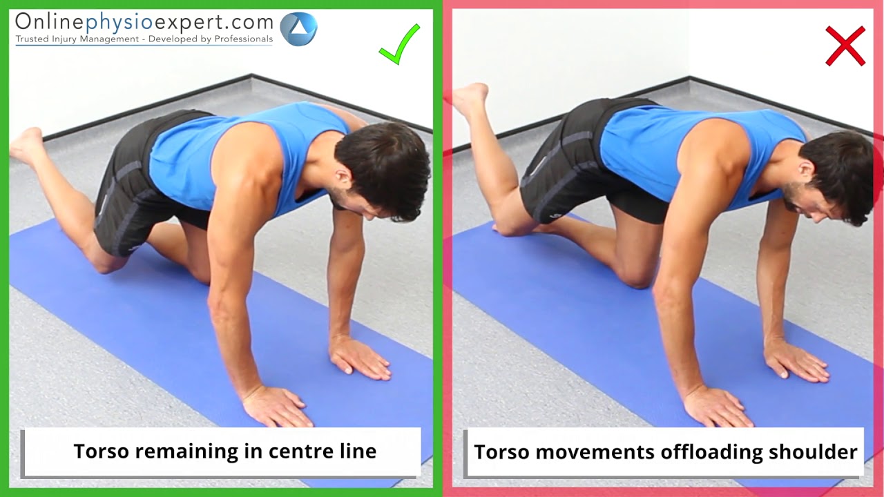 Closed chain shoulder protraction strength 2 1 - YouTube