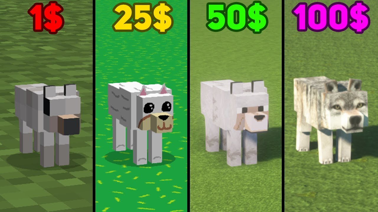 wolf with different money in Minecraft - YouTube