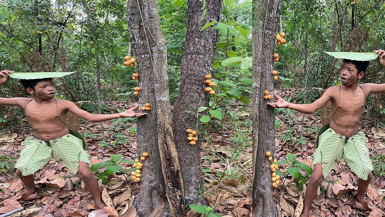 Primitive life-Pick wild fruits eat very delicious - YouTube