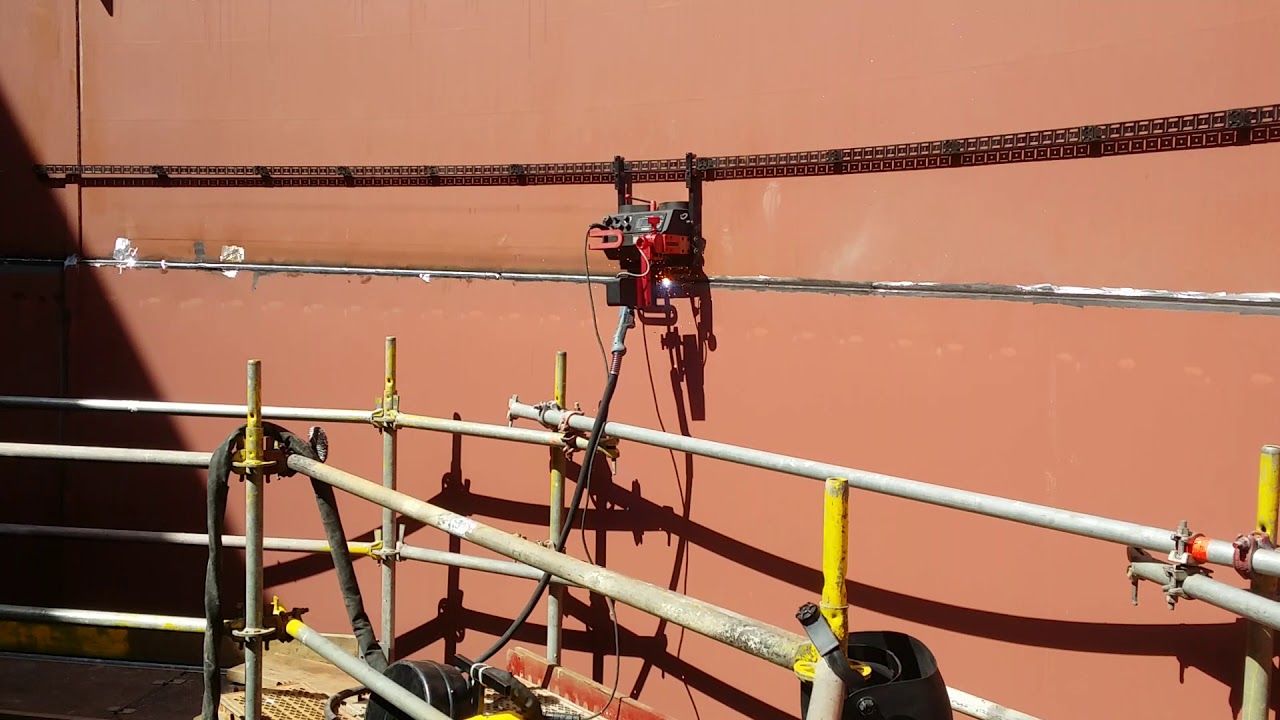 PROMOTECH LIZARD BW PC - YouTube