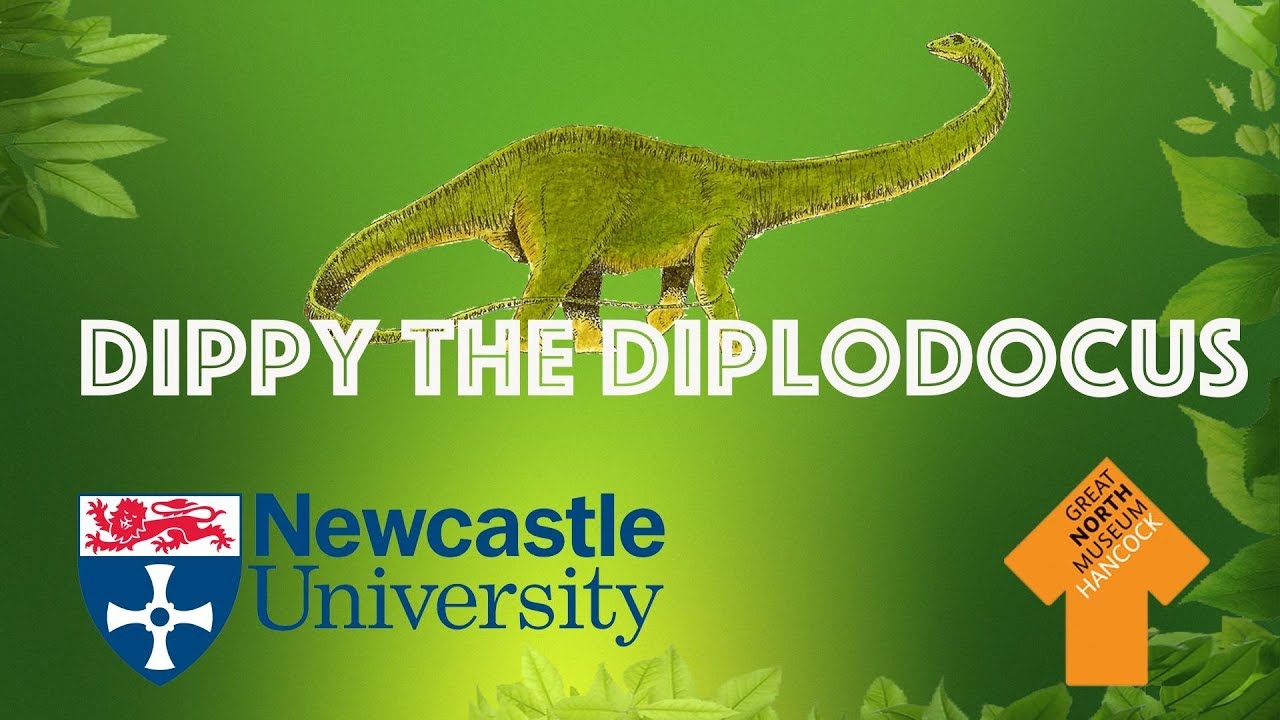 Dippy the Diplodocus - Newcastle University / The Great North Museum ...