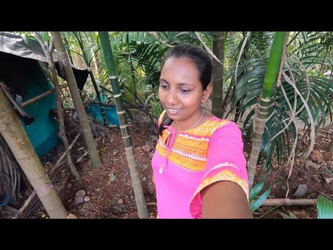 Random Konkani Vlog😜|| Garden Deep Cleaning/ Favourite Kulagar ️ ...
