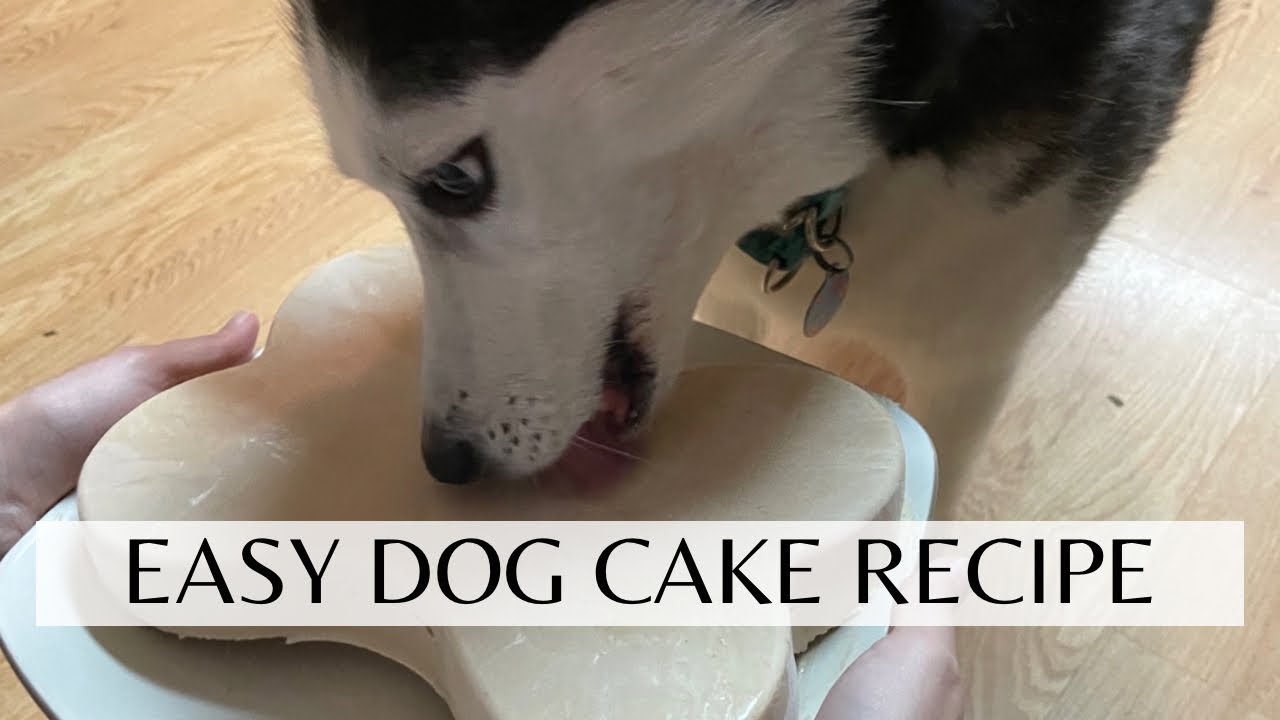 Easy Dog Cake Recipe - YouTube