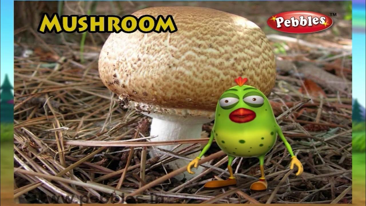 Mushroom Rhyme | Nursery Rhymes With Lyrics For Kids | Vegetable Rhymes ...