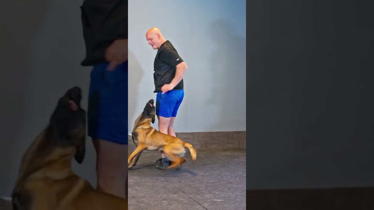 The butt down pivot allows us to move more in-sync, it’s quicker, plus ...