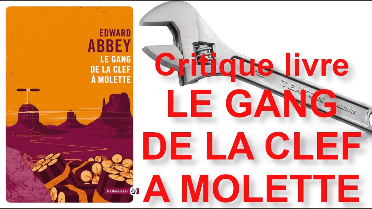 Critique livre : Le gang de la clef à molette d'Edward Abbey - YouTube