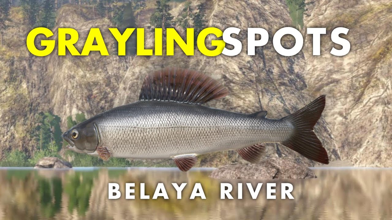 Russian Fishing 4 GRAYLING SPOTS Belaya River - YouTube
