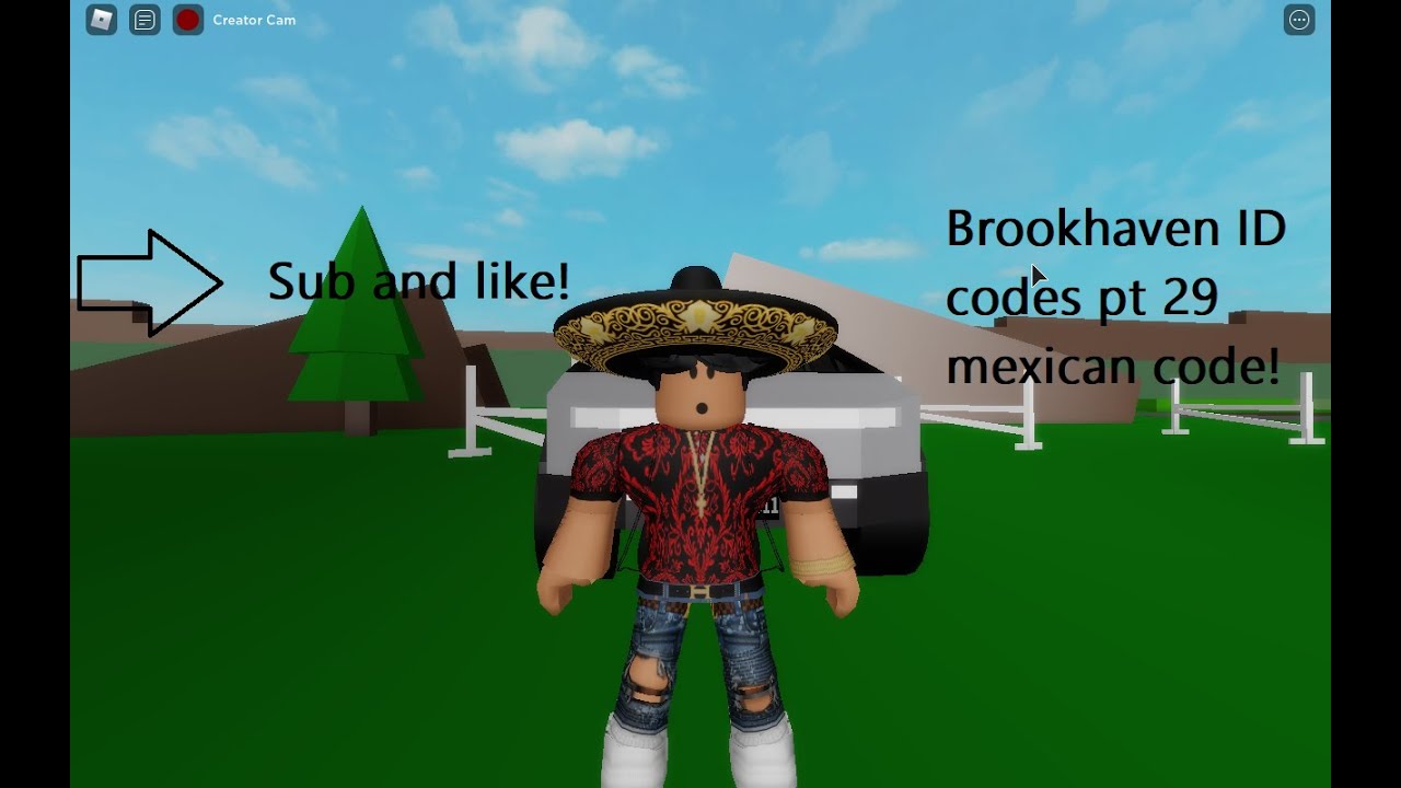 Brookhaven ID codes pt 29! no BOB... - YouTube