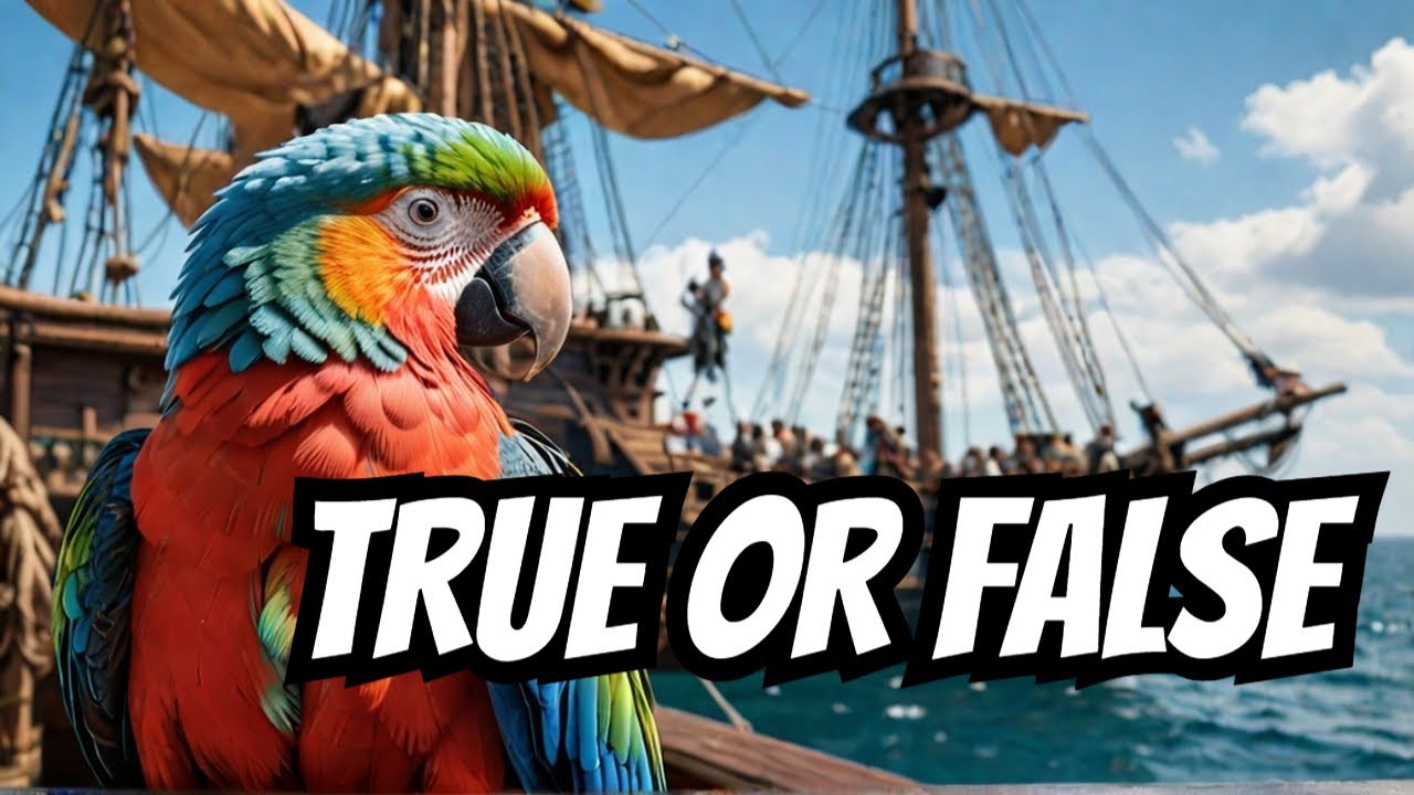 Did Pirates Really Have Parrots? - YouTube