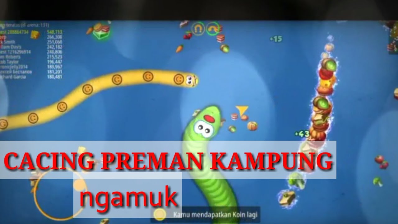 CACING TERBESAR SEKAMPUNG DIKEPUNG CACING ALASKA | WORM ZONE IO - YouTube