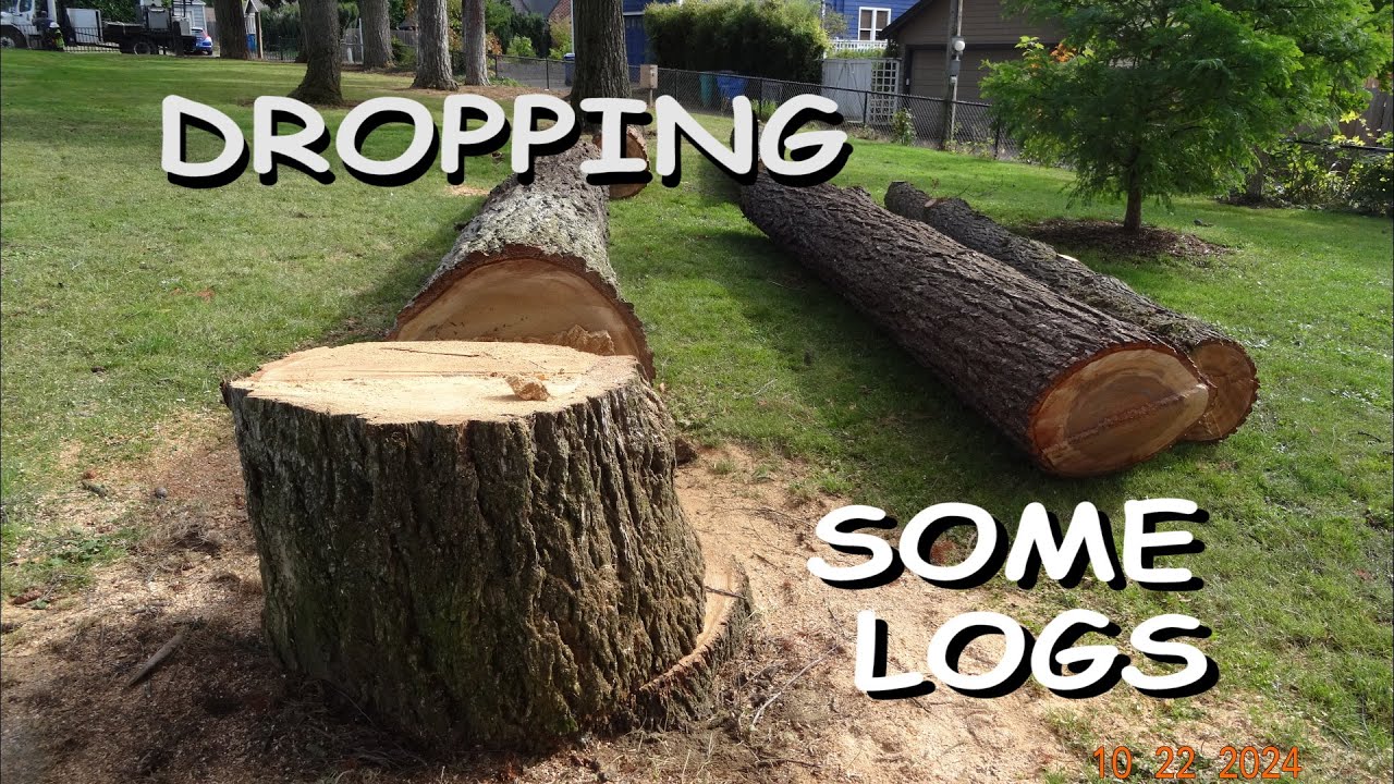 Dropping some logs - YouTube