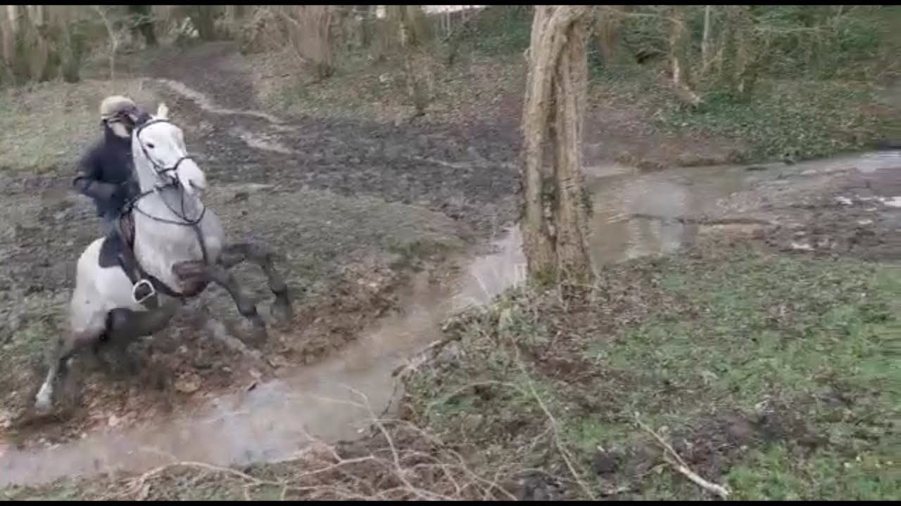 Hacking a Young Horse that has Never Hacked Before - First Time on Him ...