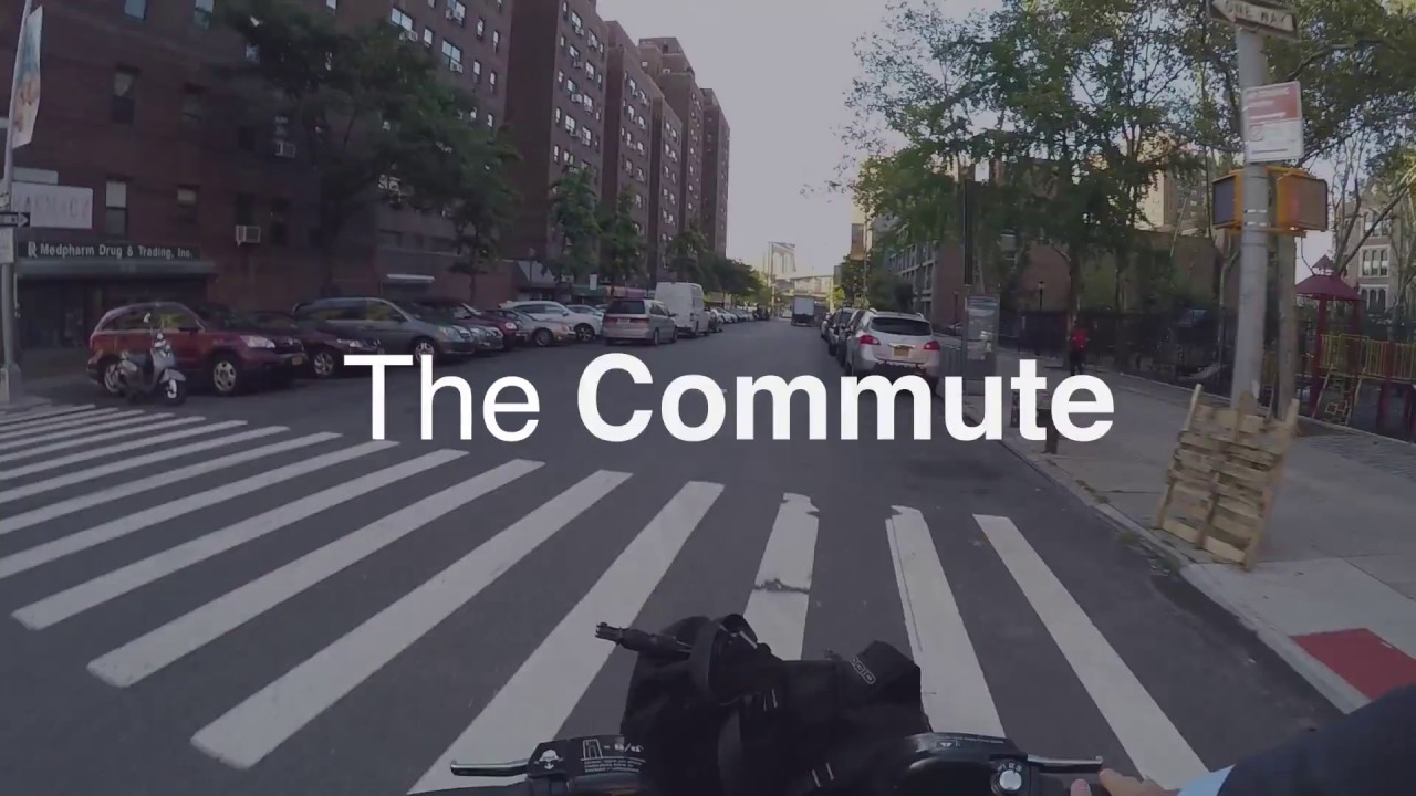 A Day in the Life of... David Shotton - YouTube