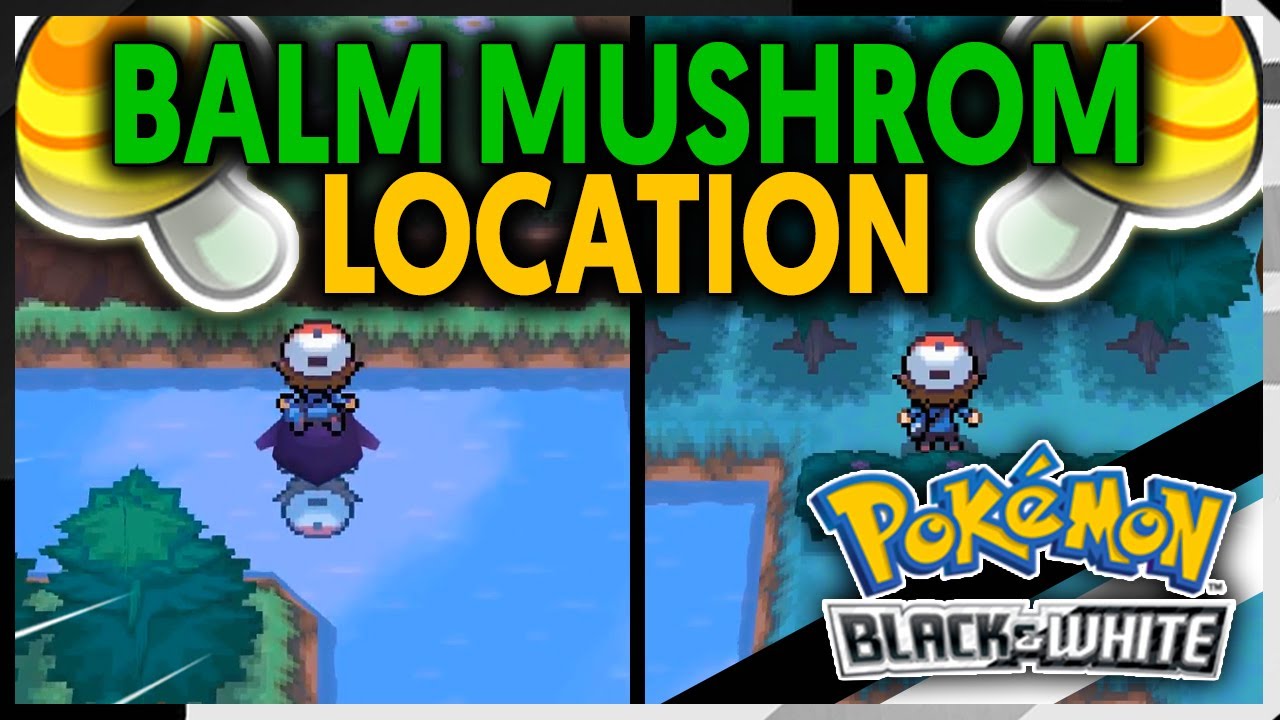 WHERE TO FIND THE BALM MUSHROOM ON POKEMON BLACK AND WHITE - YouTube