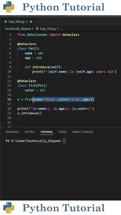 Dataclass Inheritance In Python Python Tutorial Youtube