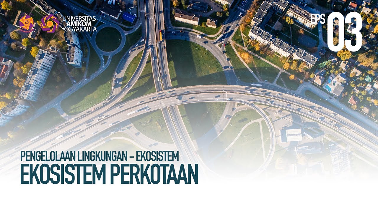 Pengelolaan Lingkungan - Ekosistem : Ekosistem Perkotaan - YouTube