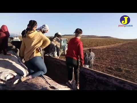 İşçilerin Kamerasından işçiler